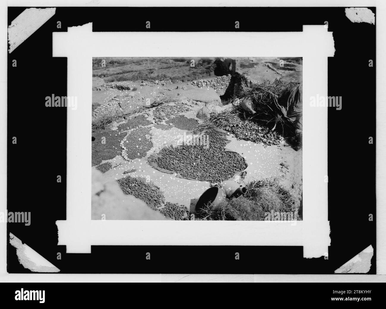 Fruit drying Black and White Stock Photos & Images - Alamy