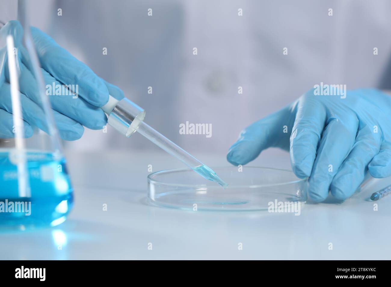 Scientist dripping liquid from pipette into petri dish in laboratory ...