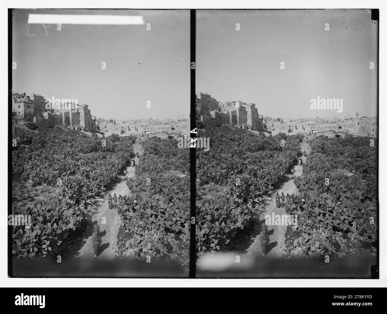 Various views inside the city (Jerusalem). Tyropeon Valley at the Dung ...