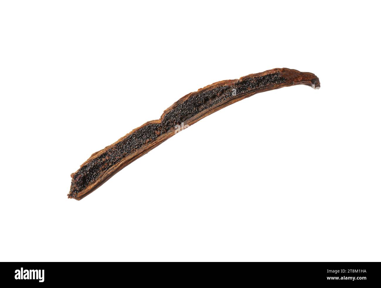 One aromatic vanilla pod isolated on white Stock Photo - Alamy