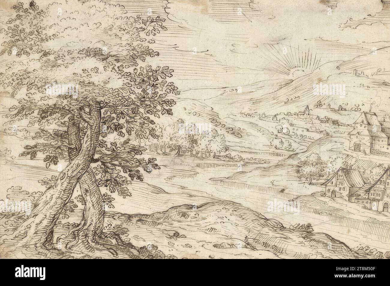 Rising trees hi-res stock photography and images - Alamy