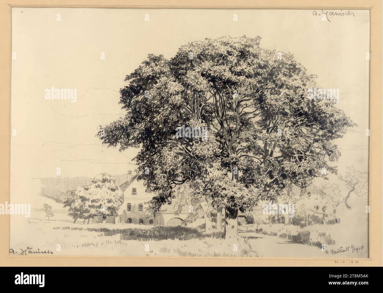 223 x 326 mm hi-res stock photography and images - Alamy