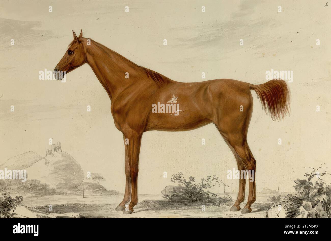 Doctor, Sigmund Ferdinand von Perger (Vienna 1778 - 1841 Vienna), 1815 ...