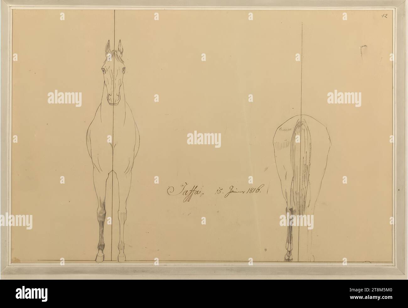 Jaffa, front and back view, Sigmund Ferdinand von Perger (Vienna 1778 ...
