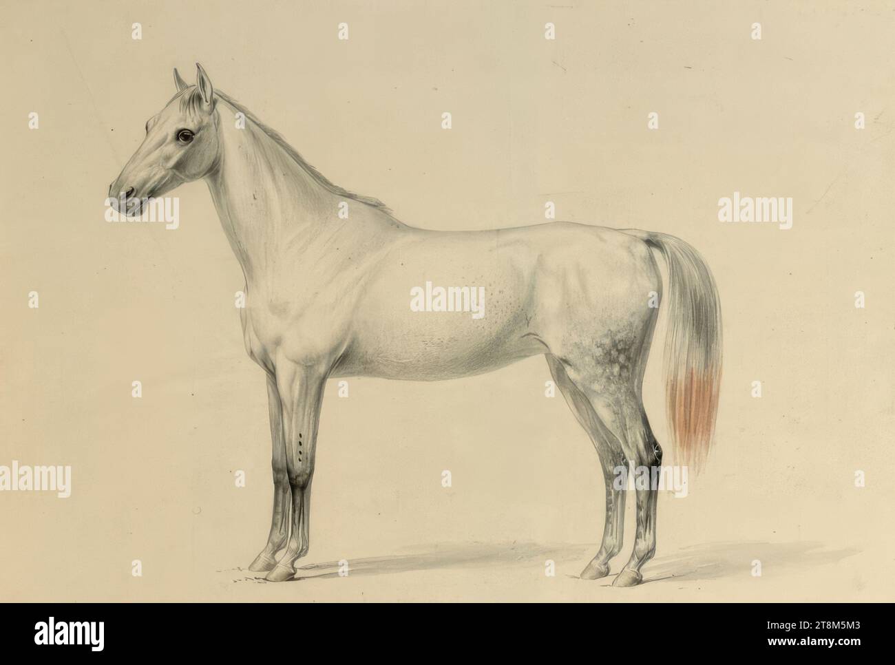 Selince hi-res stock photography and images - Alamy