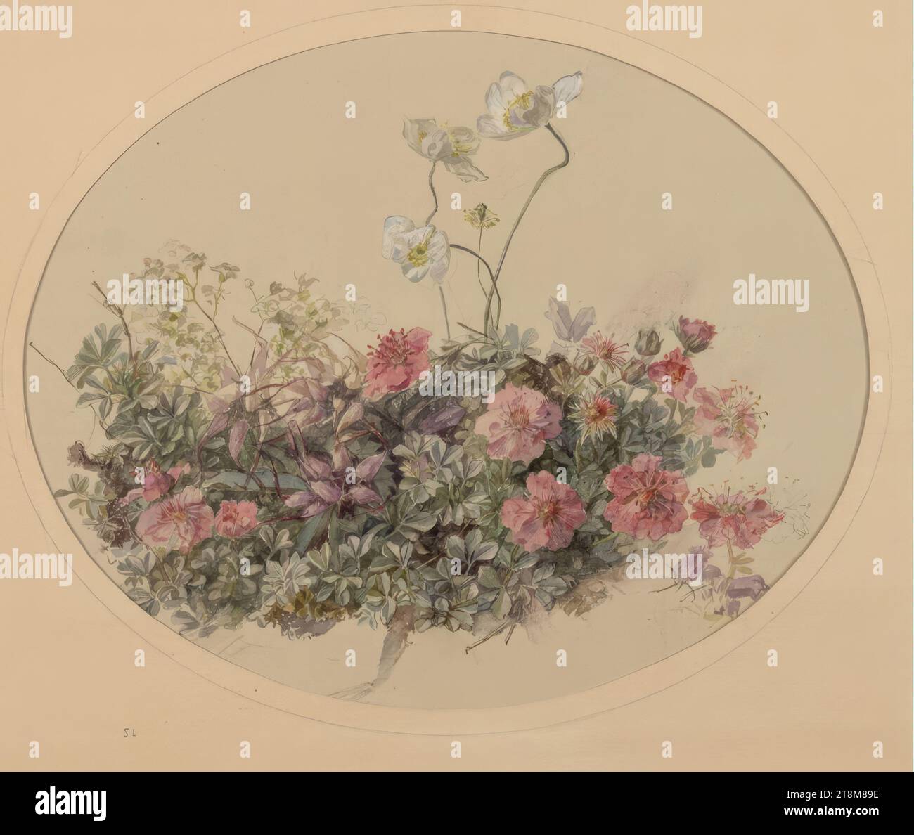 Mountain carnations and anemones, Marie Lippert-Hoerner (Vienna 1860 ...