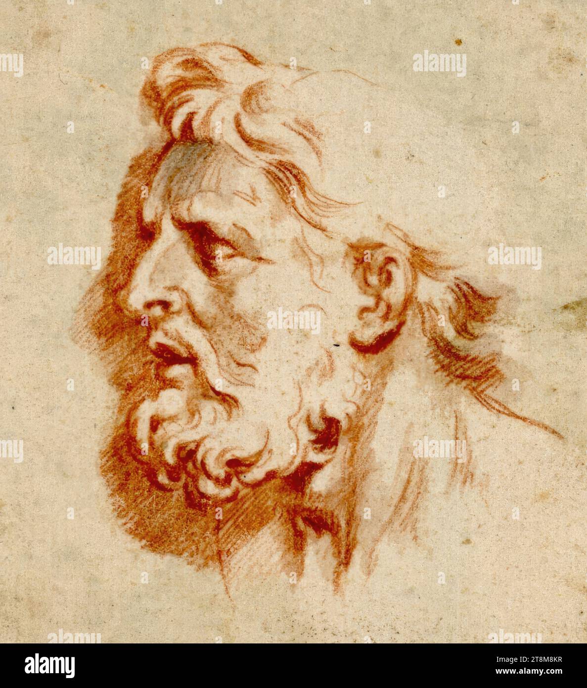 Bearded head, Sébastien Le Clerc (Metz 1637 - 1714 Paris), drawing ...
