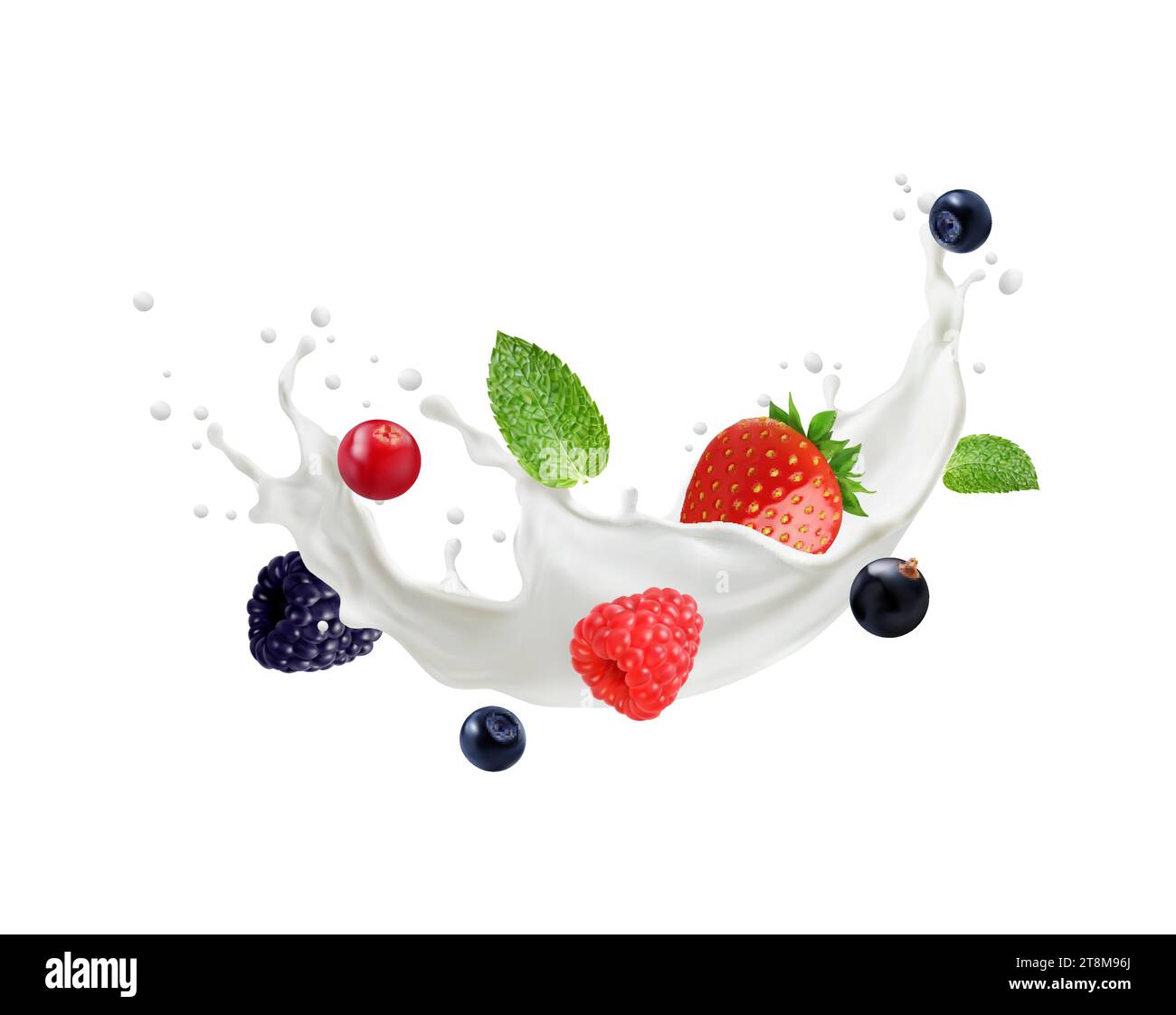 Blackberry falling milk Stock Vector Images - Alamy