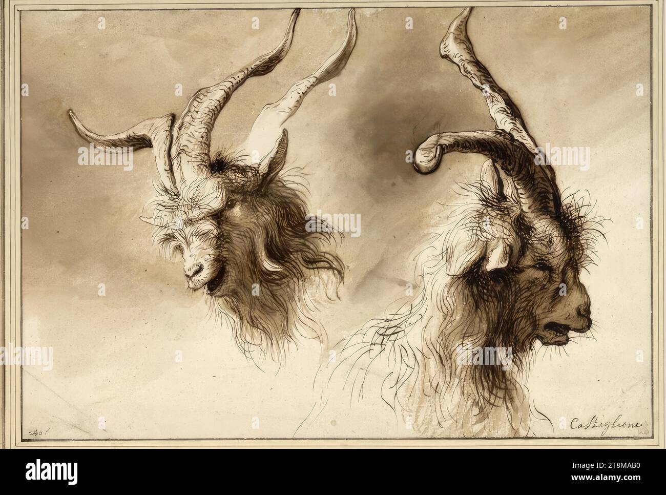 20 3 x 29 6 cm hi-res stock photography and images - Alamy