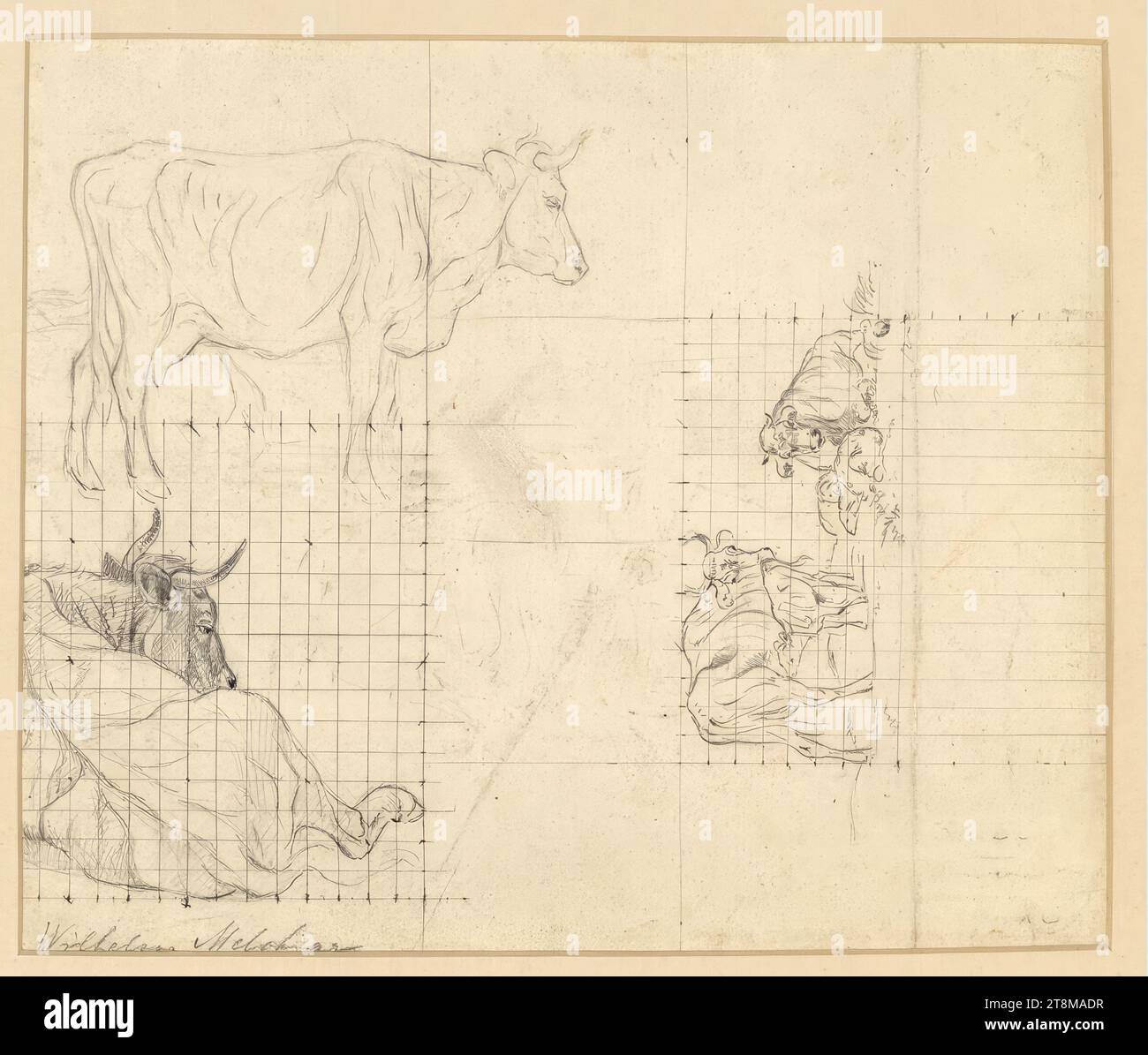 Studies of a lying and a standing cow; rotated 90° to the right: two ...