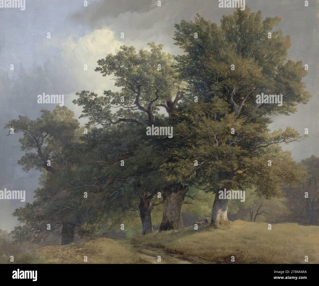 43 5 x 52 5 cm hi-res stock photography and images - Alamy