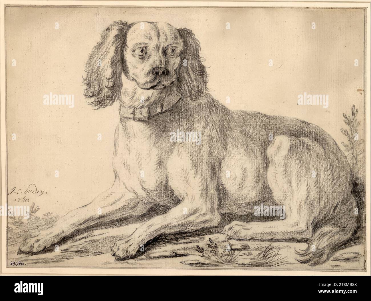 Study of a dog, Jacques Charles Oudry (Paris 1720 - 1778 Lausanne ...