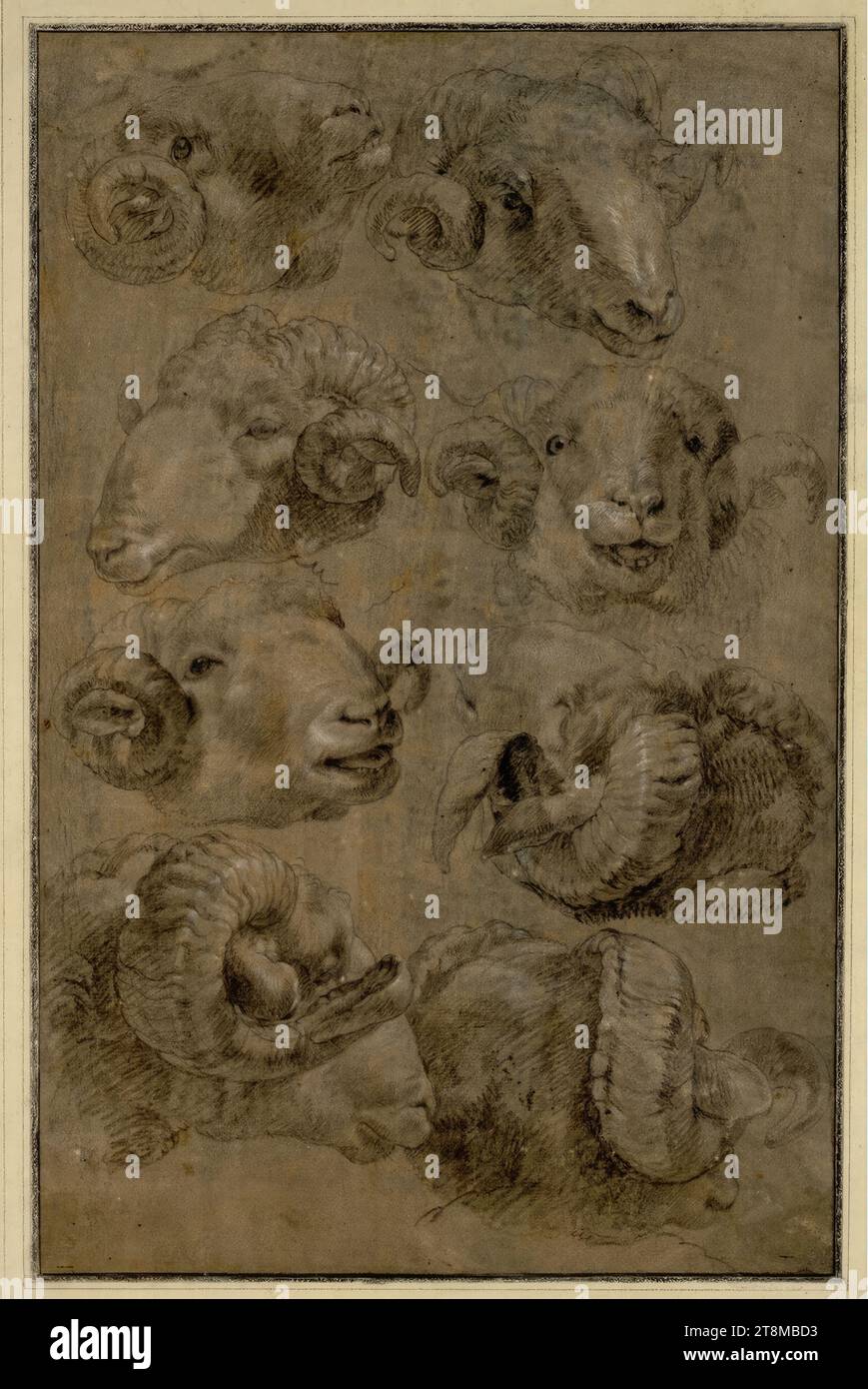 Eight rams heads hi-res stock photography and images - Alamy