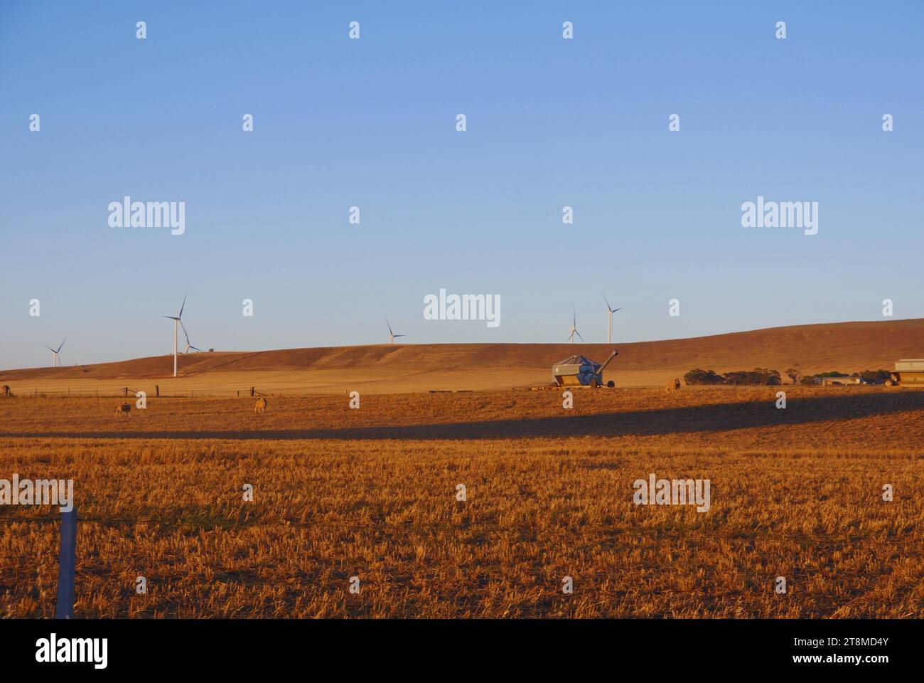 Beautiful scenery of wind farms in Western Australia Stock Photo - Alamy
