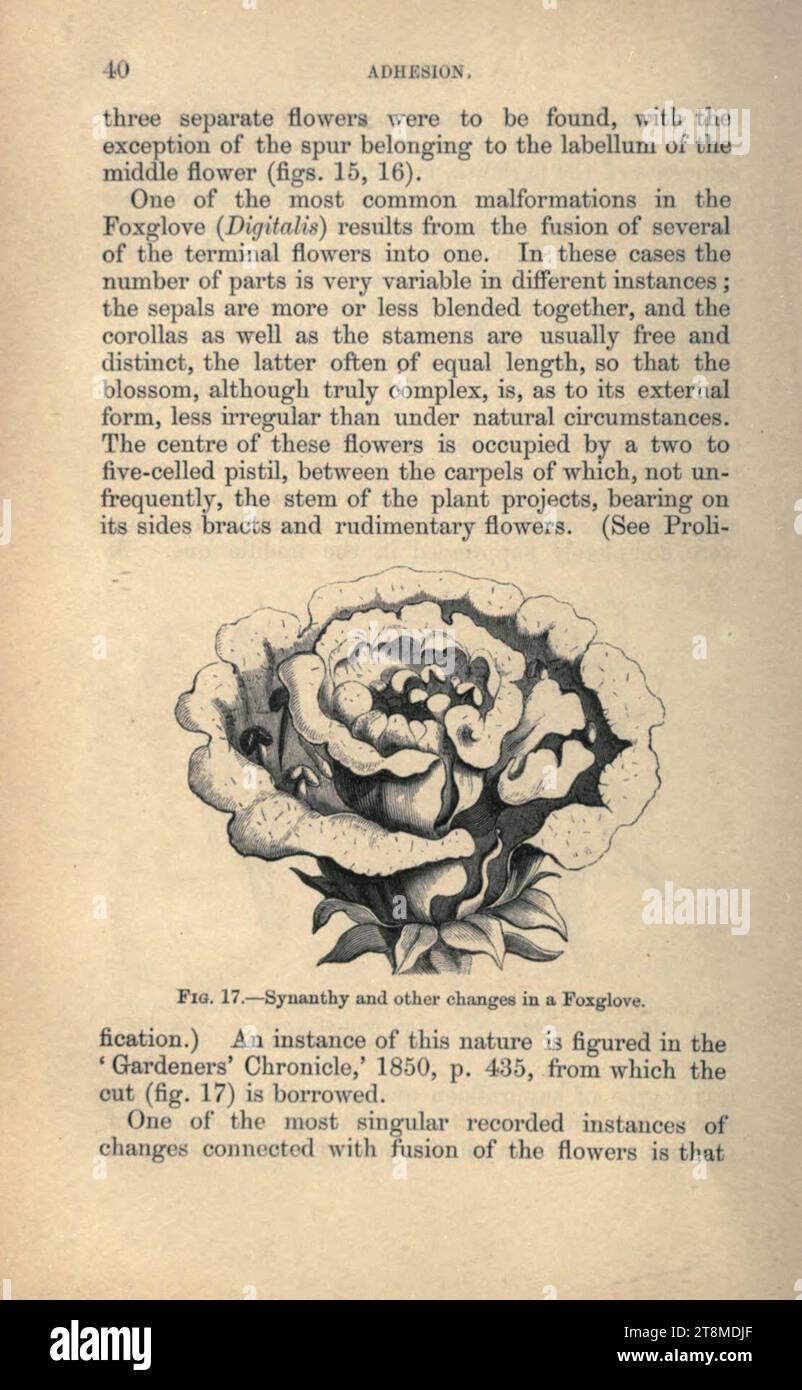 Teratology hi-res stock photography and images - Alamy