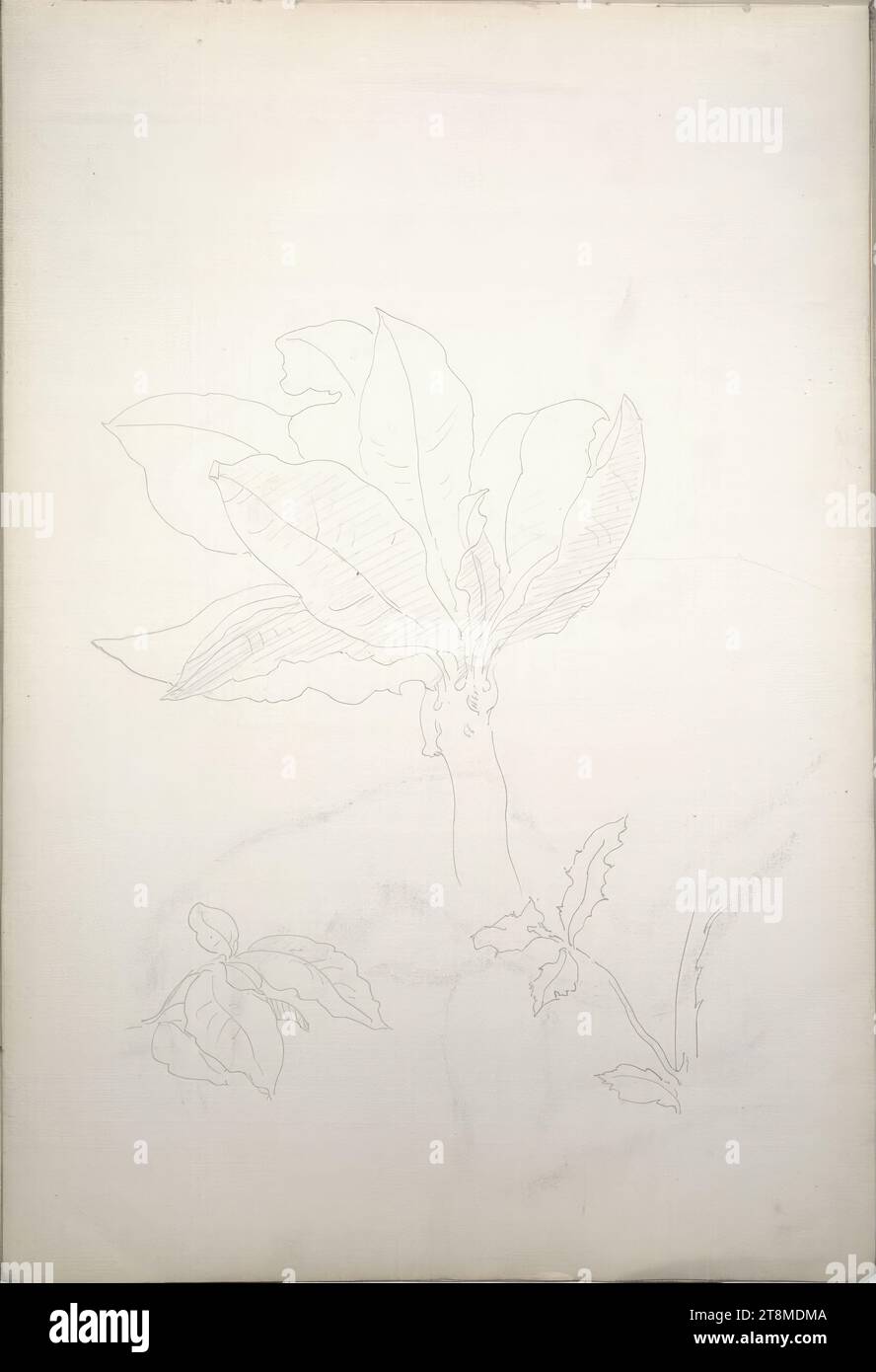 Various sketches from hi-res stock photography and images - Alamy