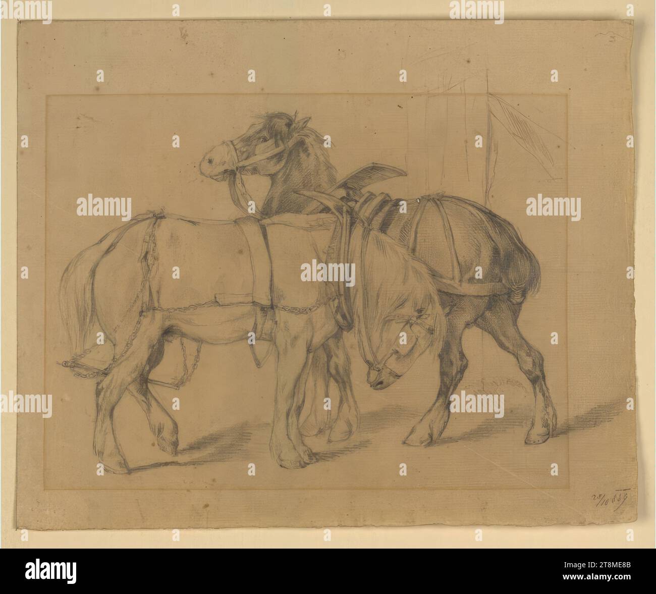 Pencil drawing of horses hi-res stock photography and images - Alamy