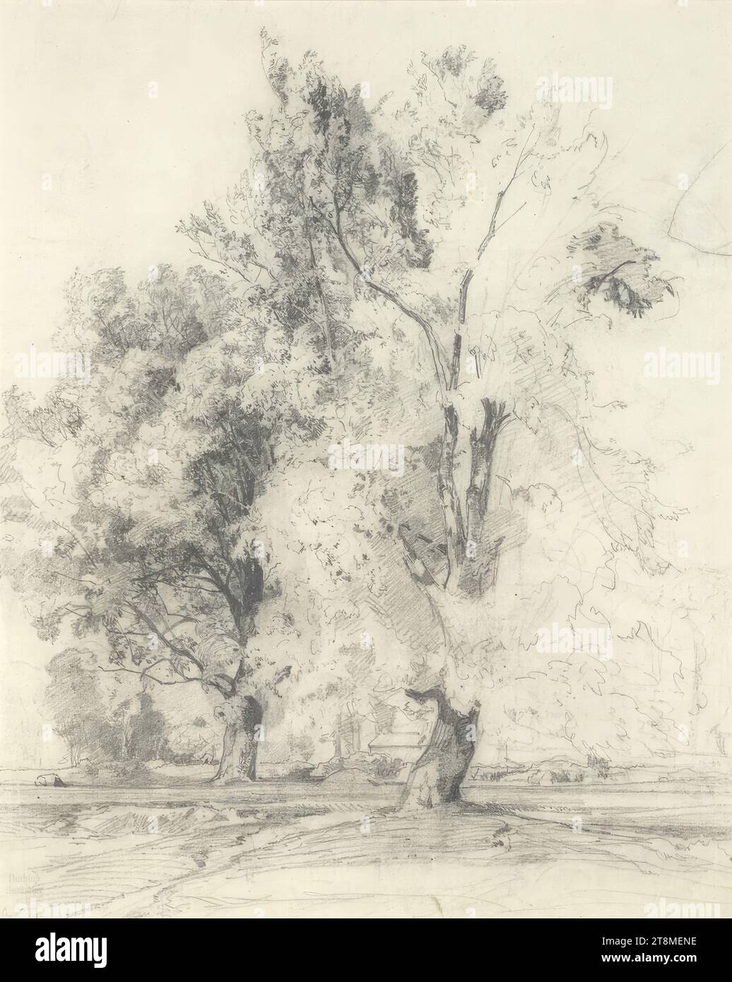 Tree study, Emil Jakob Schindler (Vienna 1842 - 1892 Westerland (Sylt ...