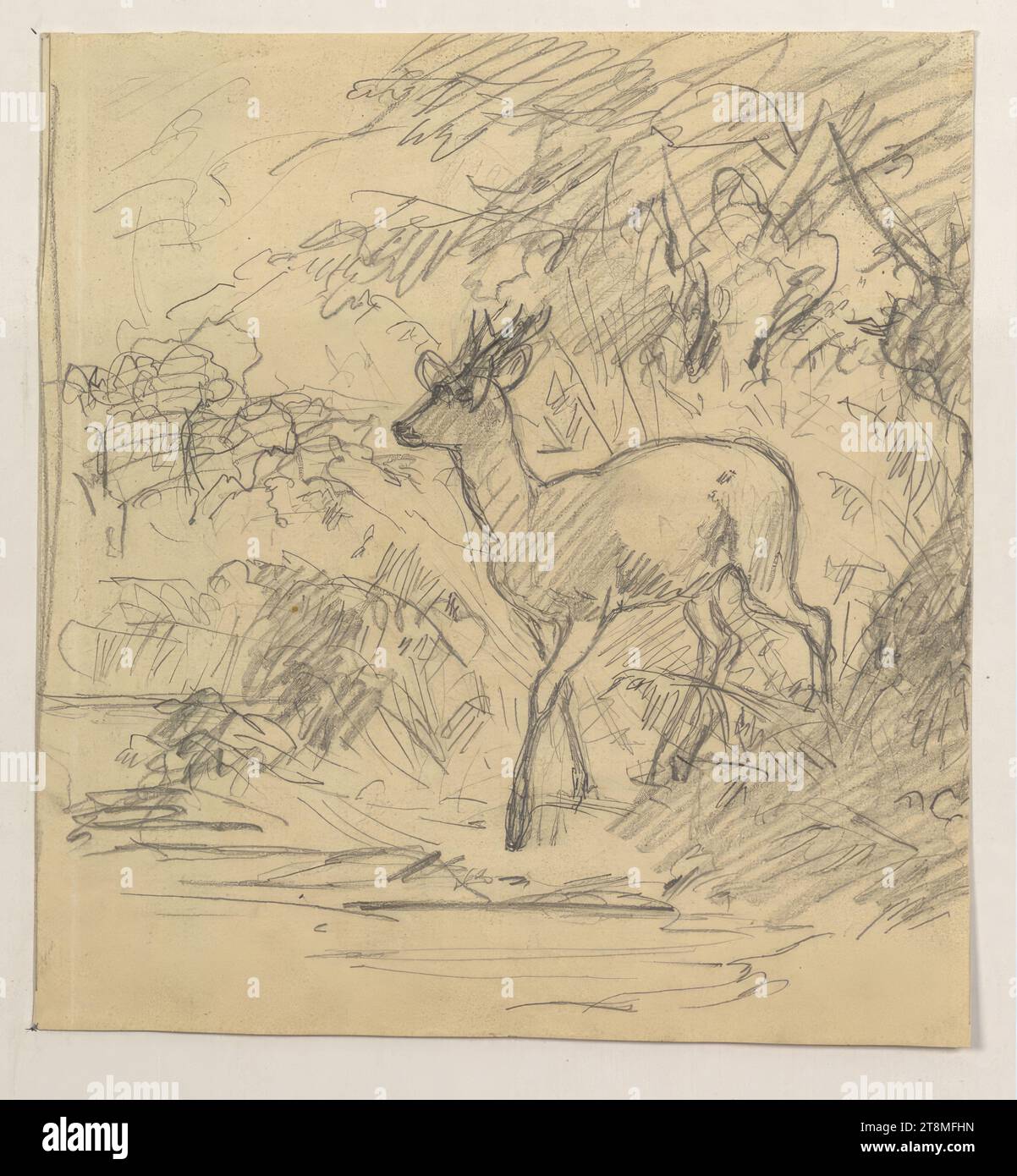 186 x 174 mm hi-res stock photography and images - Alamy