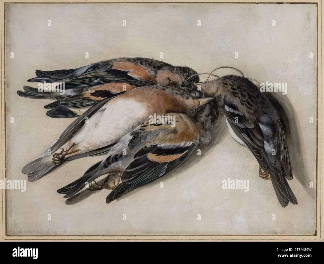 Four dead brambles hi-res stock photography and images - Alamy