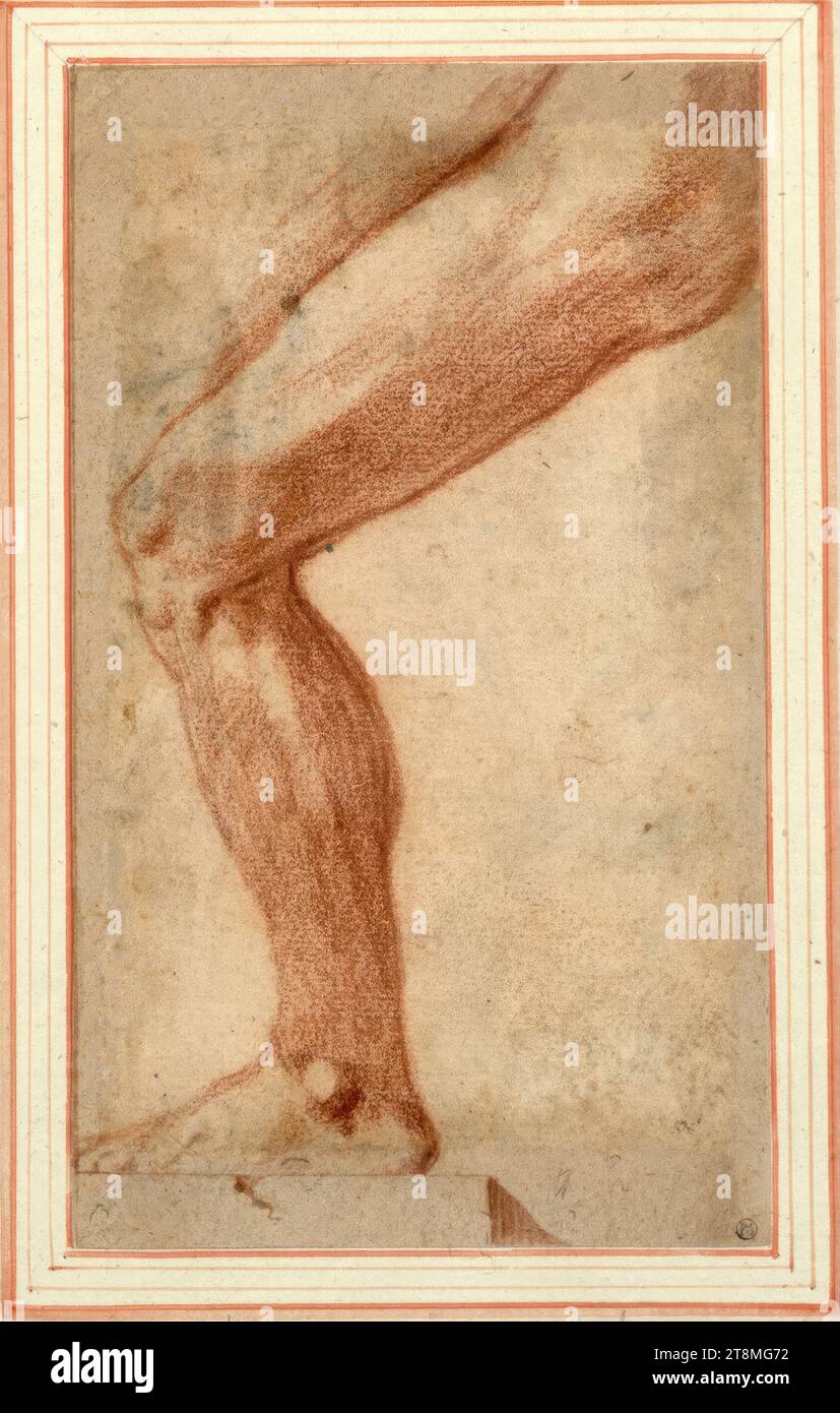 Study of a left leg presented in a flexed position, Polidoro Caldara da ...