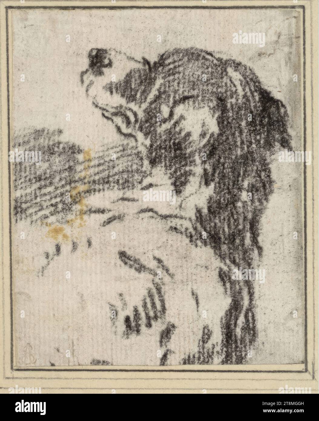 Hunting dog head, Philipp Peter Roos (Frankfurt am Main 1655/57 - 1706 ...