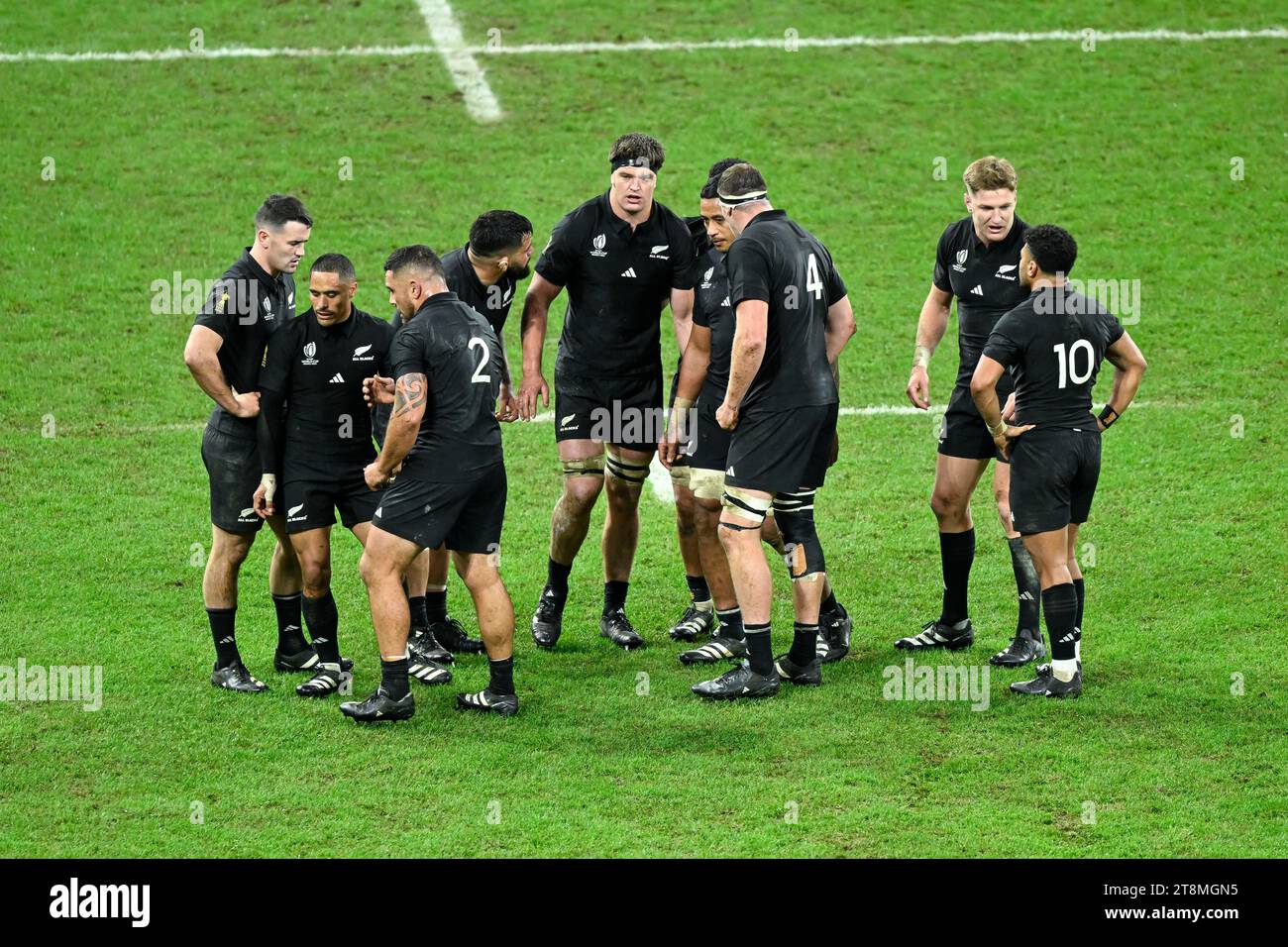 Springboks rugby team 2023 hi-res stock photography and images - Alamy