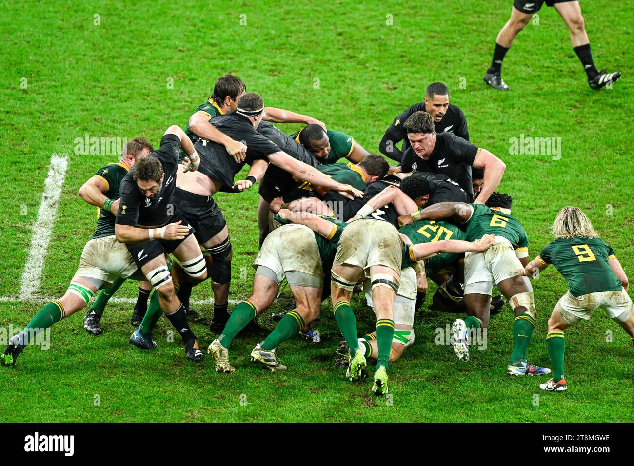 Springboks scrum rugby hi-res stock photography and images - Alamy