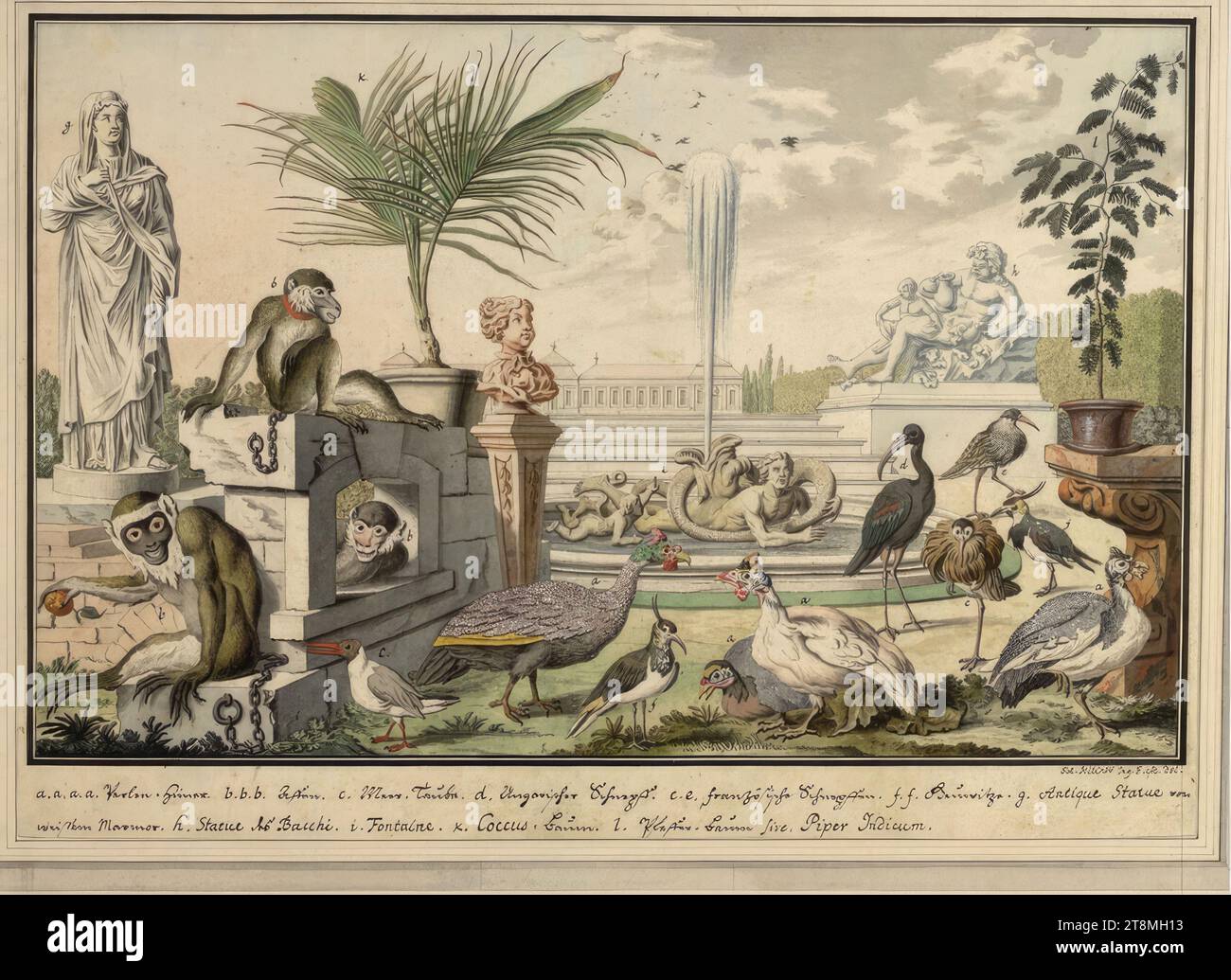 Eleven engraver drawings hi-res stock photography and images - Alamy