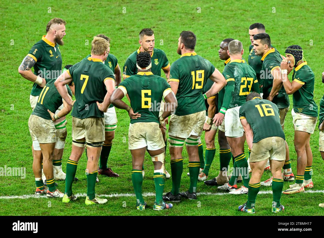 Springboks rugby team 2023 hi-res stock photography and images - Alamy