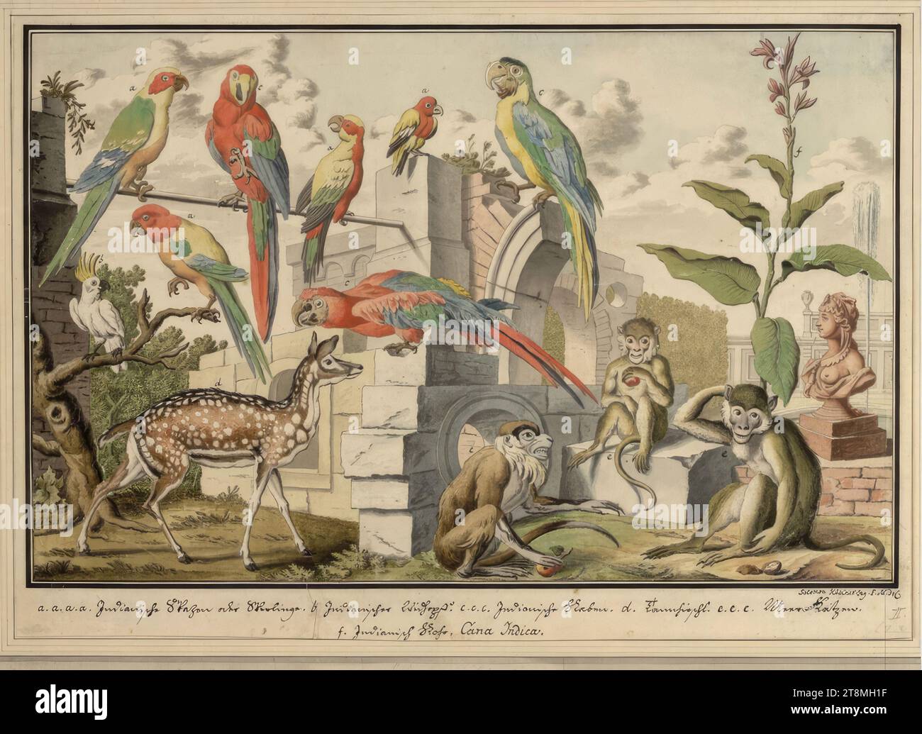 Eleven engraver drawings hi-res stock photography and images - Alamy