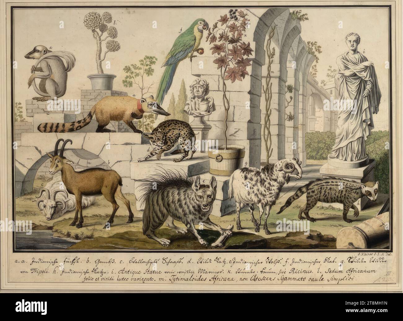 Eleven engraver drawings hi-res stock photography and images - Alamy