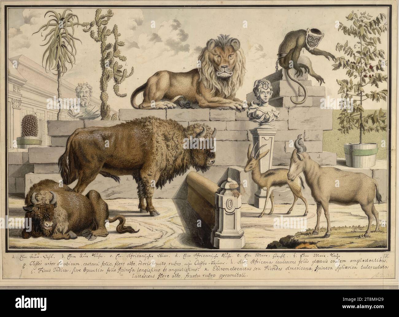 Eleven engraver drawings hi-res stock photography and images - Alamy