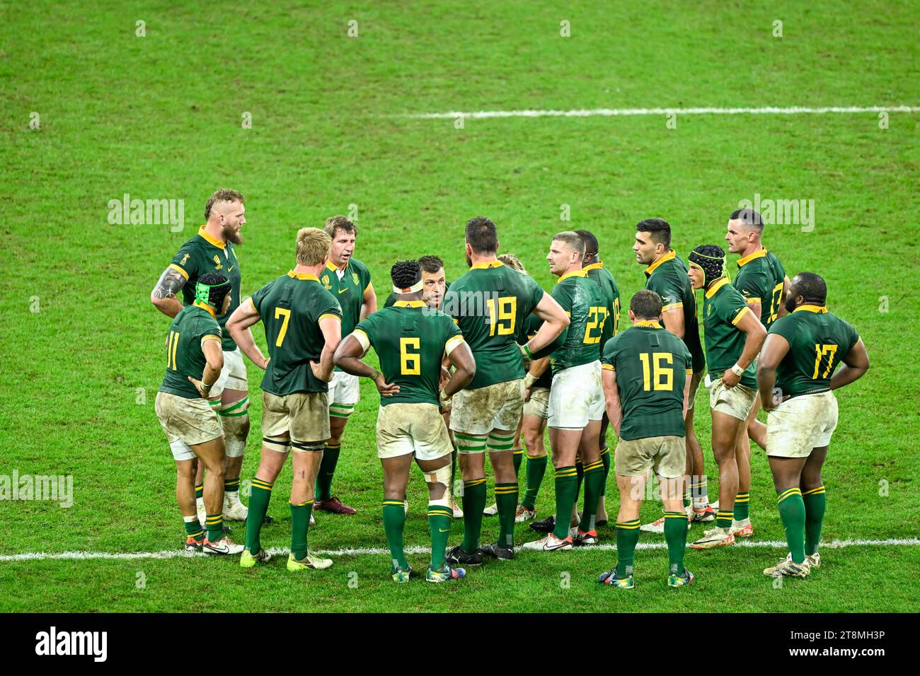 Springboks rugby team 2023 hi-res stock photography and images - Alamy