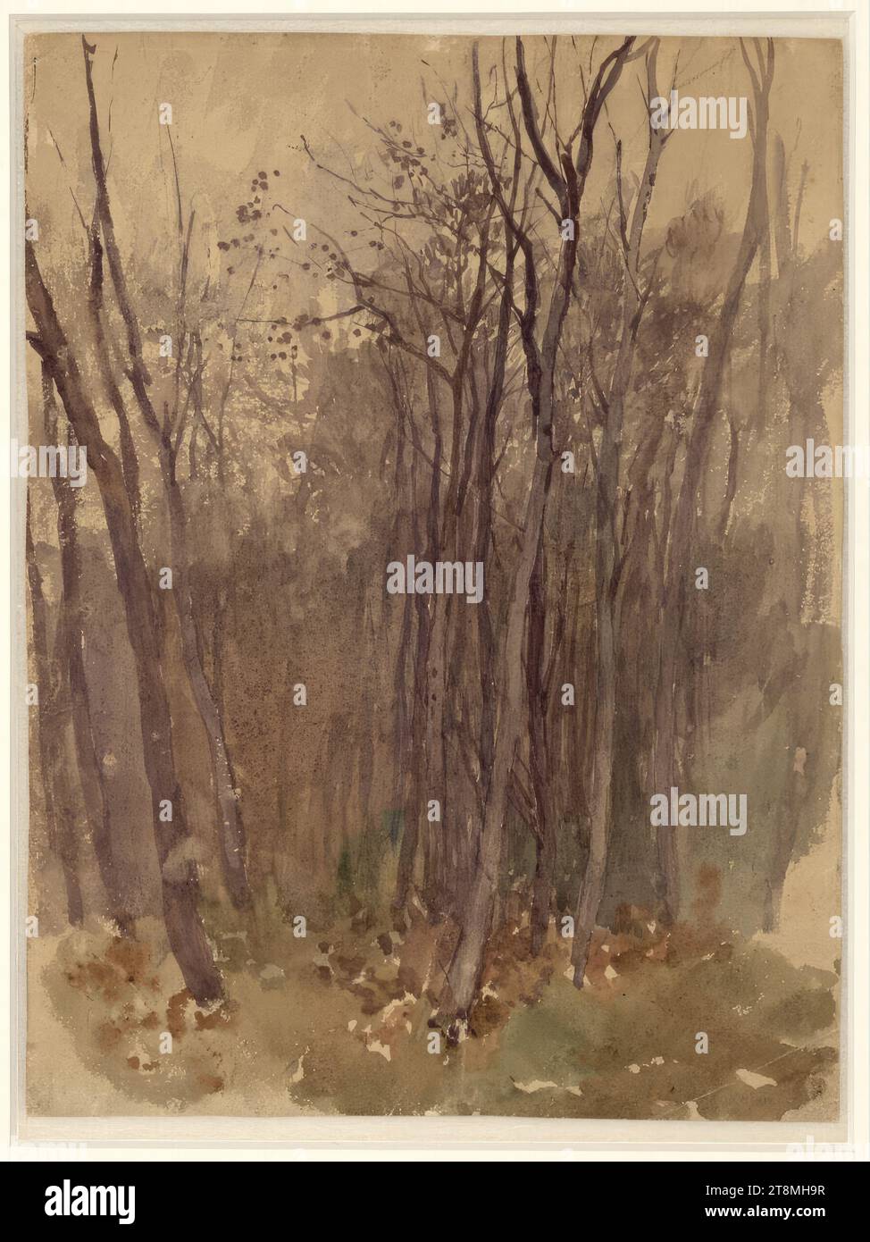 Forest study, August Xaver Karl von Pettenkofen (Vienna 1822 - 1889 ...