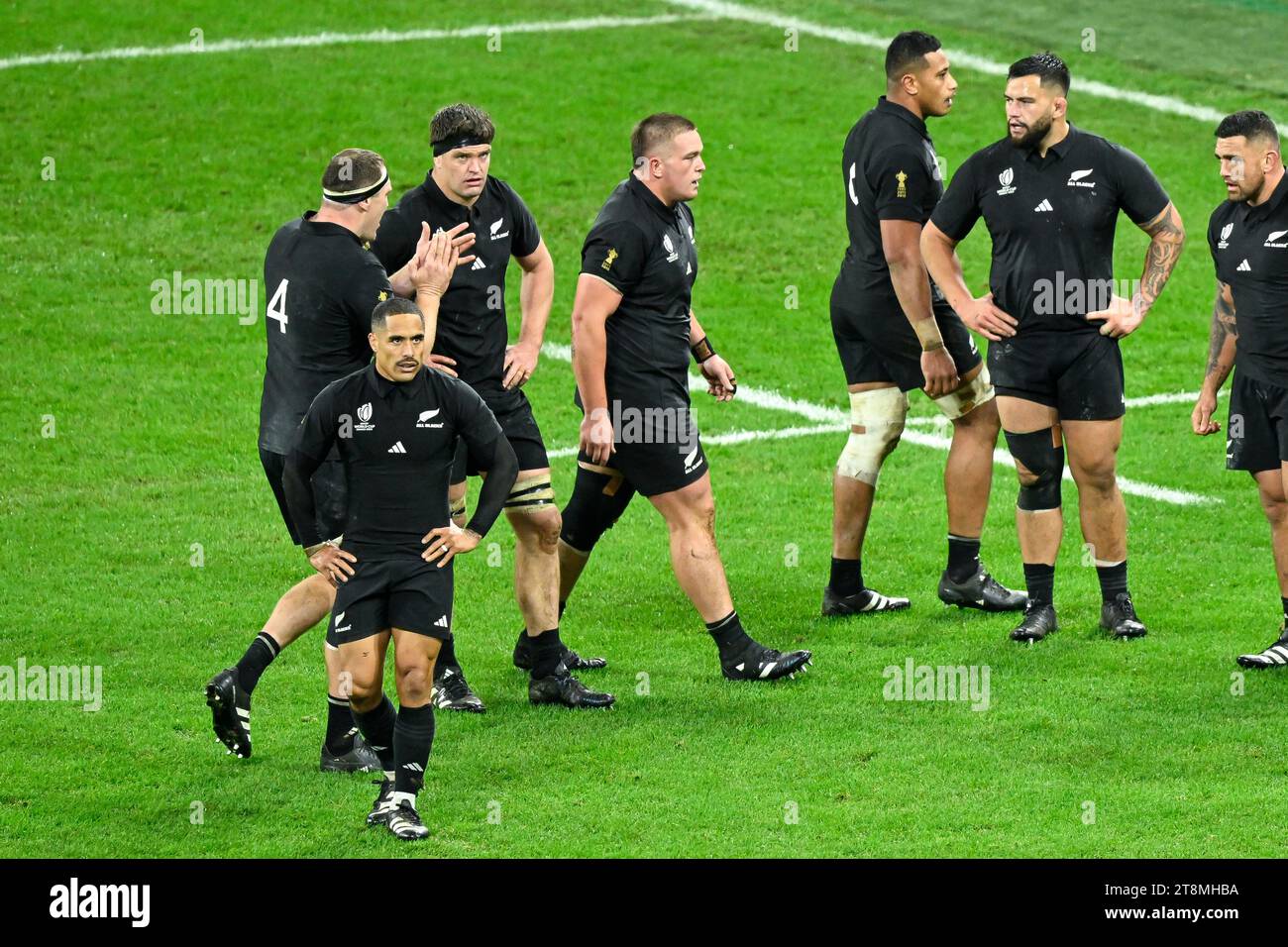 Springboks rugby team 2023 hi-res stock photography and images - Alamy