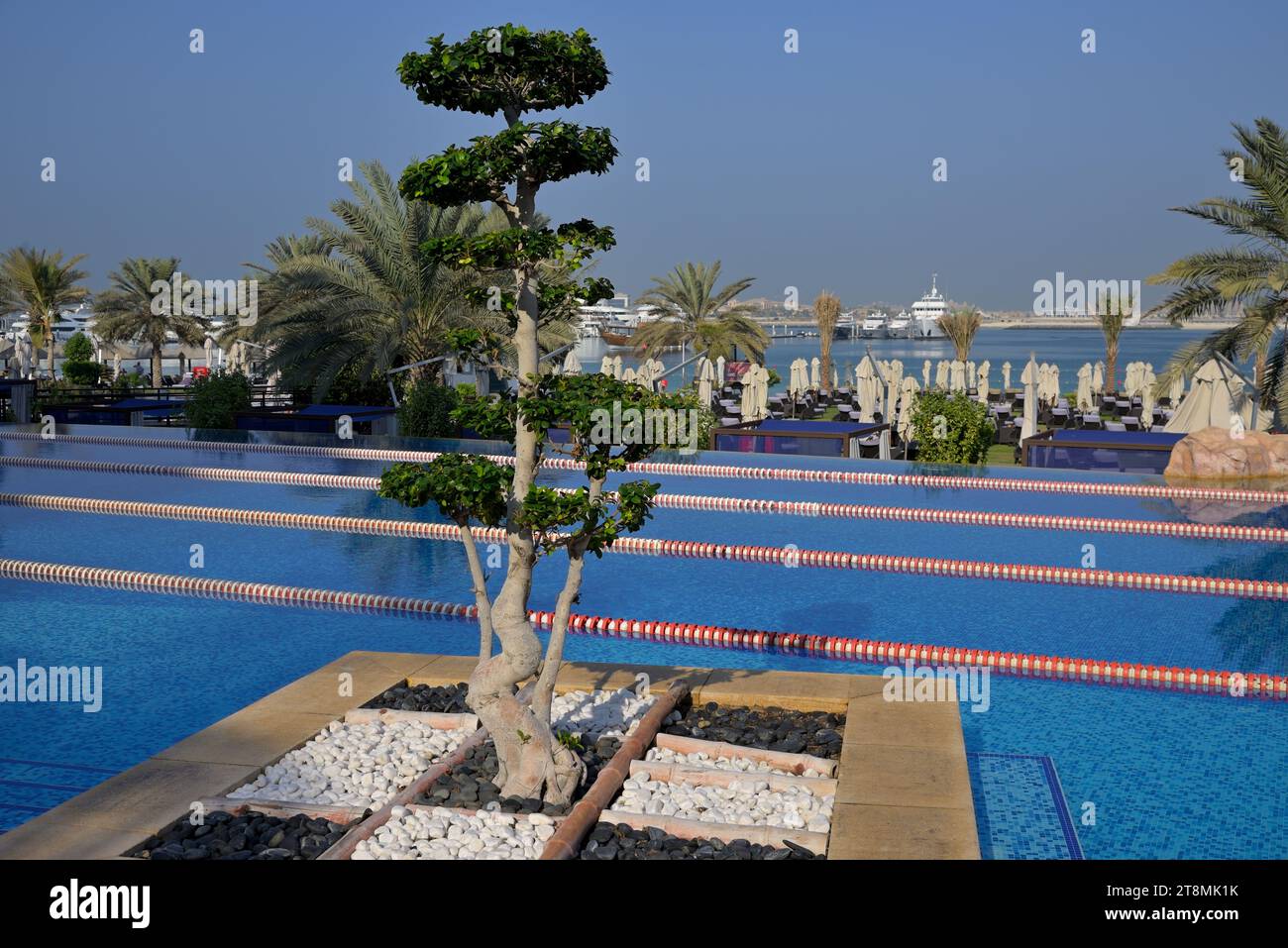 The luxury Westin Dubai Mina Seyahi Beach Resort, Dubai Marina UAE ...