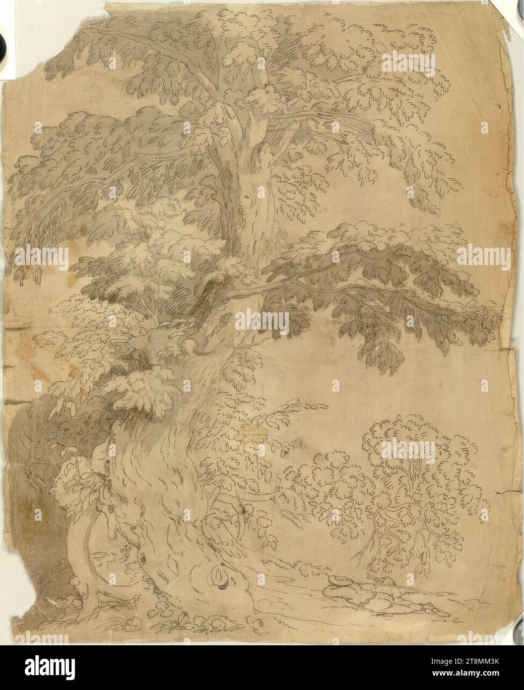 Tree study, Jakob Philipp Hackert (?, Prenzlau 1737 - 1807 San Piero di ...