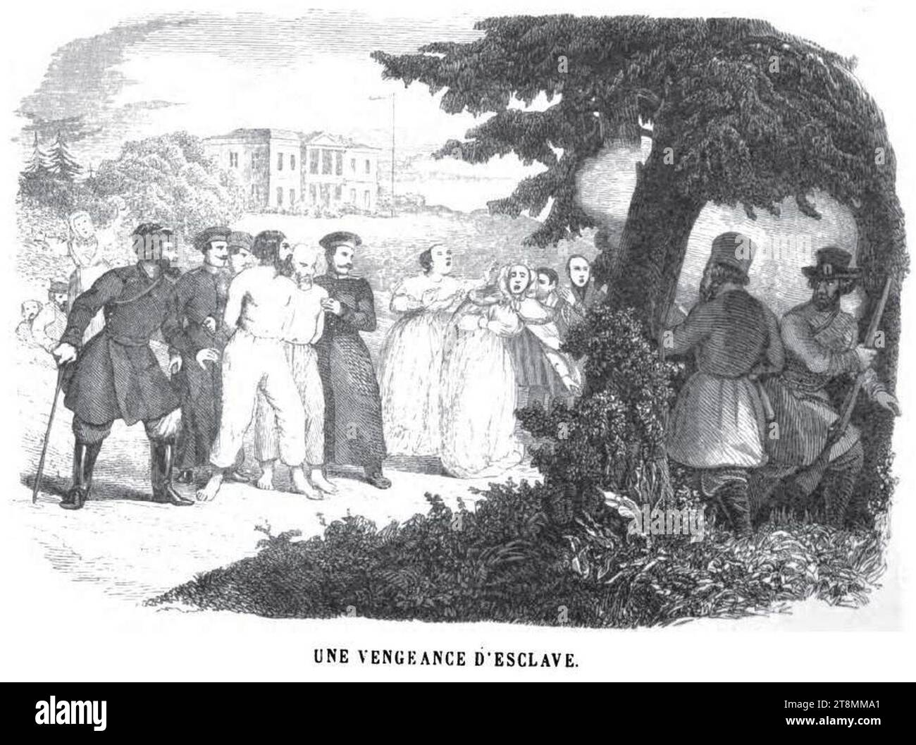 Serfs Cut Out Stock Images & Pictures - Alamy