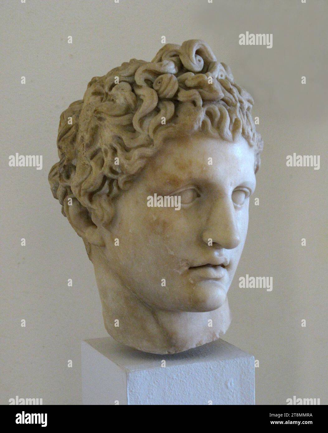 Venice MAN 138 head of Meleager 01 Stock Photo - Alamy