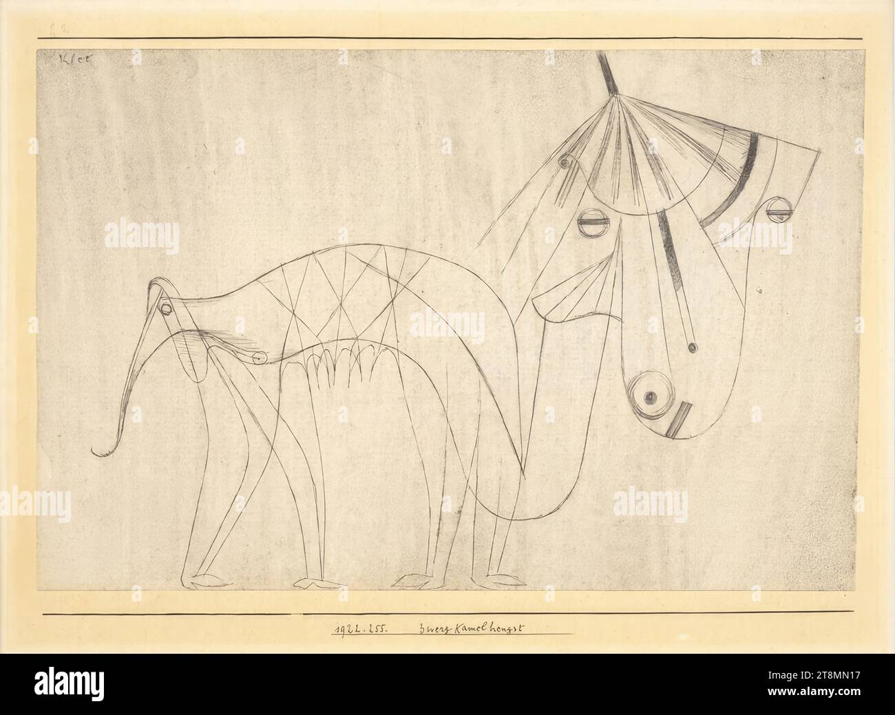 Dwarf camel stallion hi-res stock photography and images - Alamy