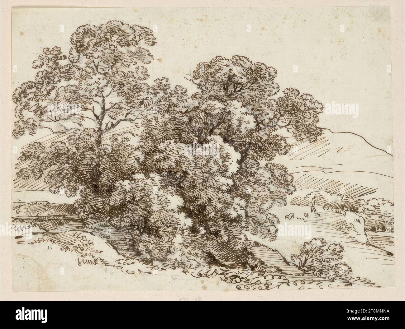 Group of Trees in a Landscape with a Flock of Sheep, Maximilian Johann ...