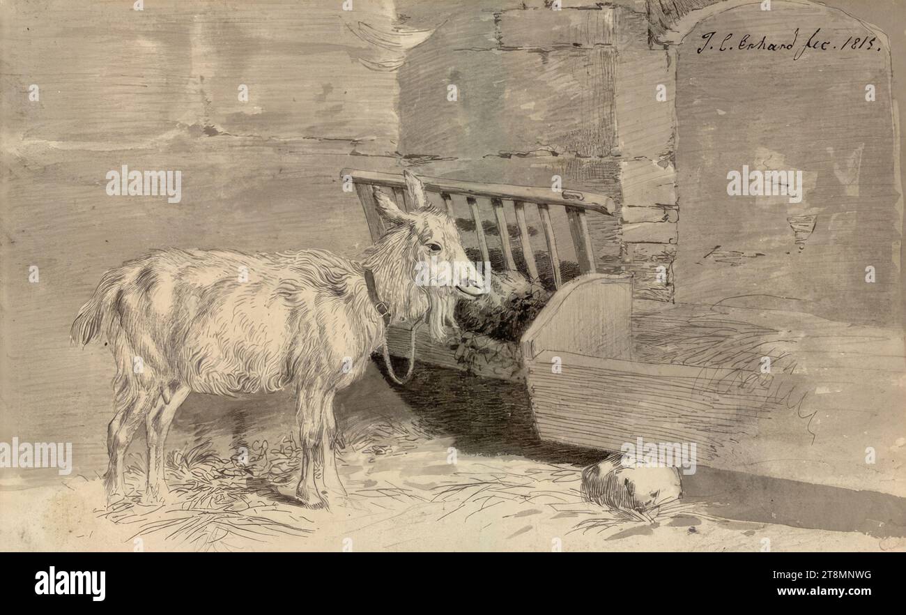Goat in the stable, Johann Christoph Erhard (Nuremberg 1795 - 1822 Rome ...
