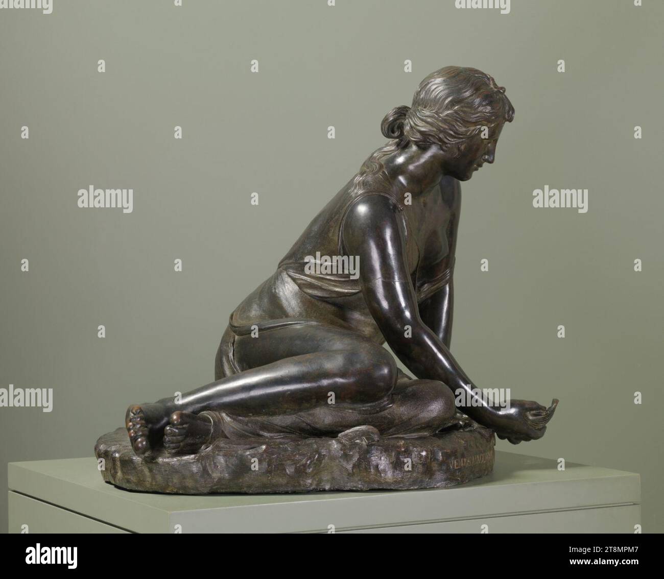 Concha de venus hi-res stock photography and images - Alamy