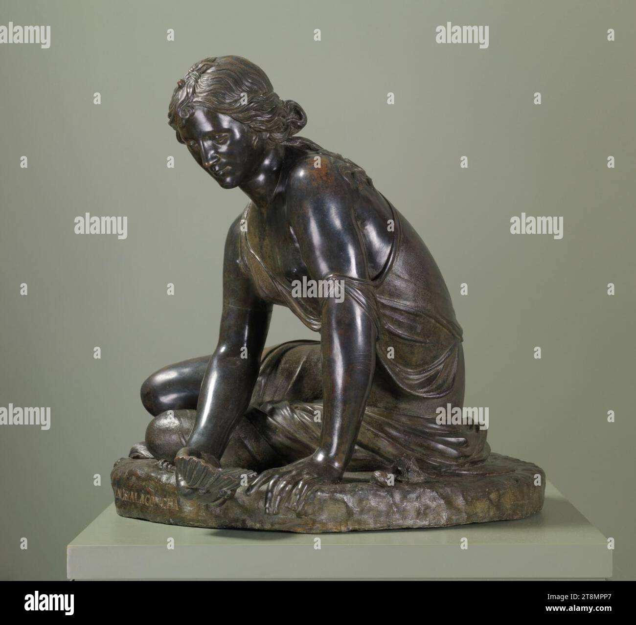 Concha de venus hi-res stock photography and images - Alamy