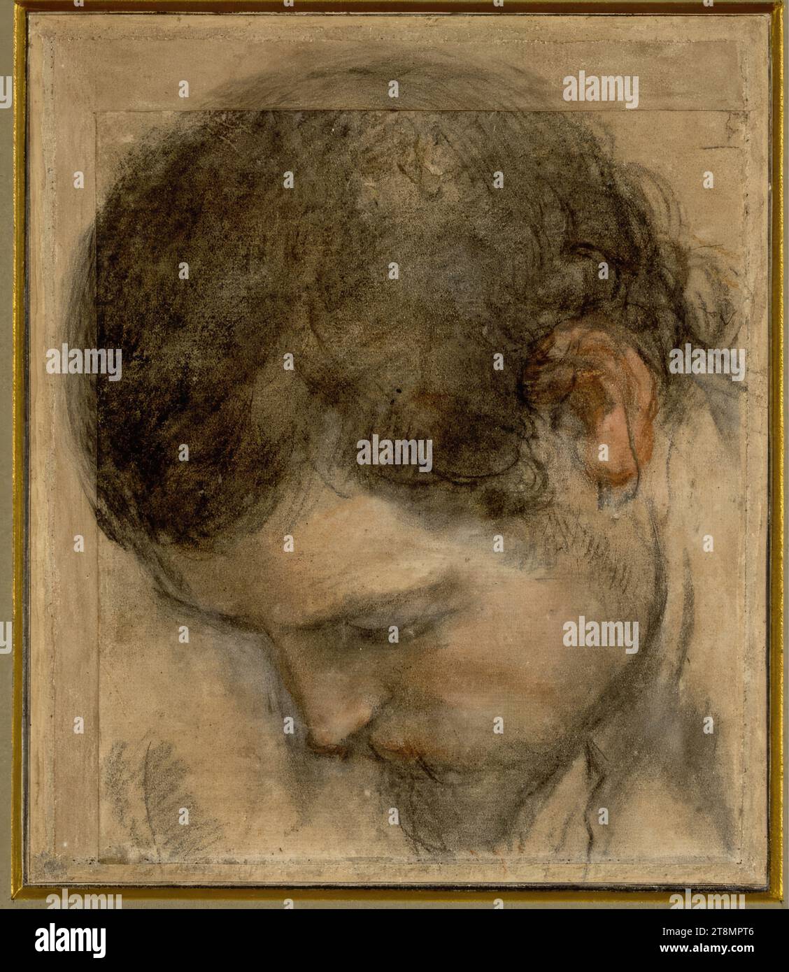 Profile head of a man with goatee to the left, tilted sharply downwards ...