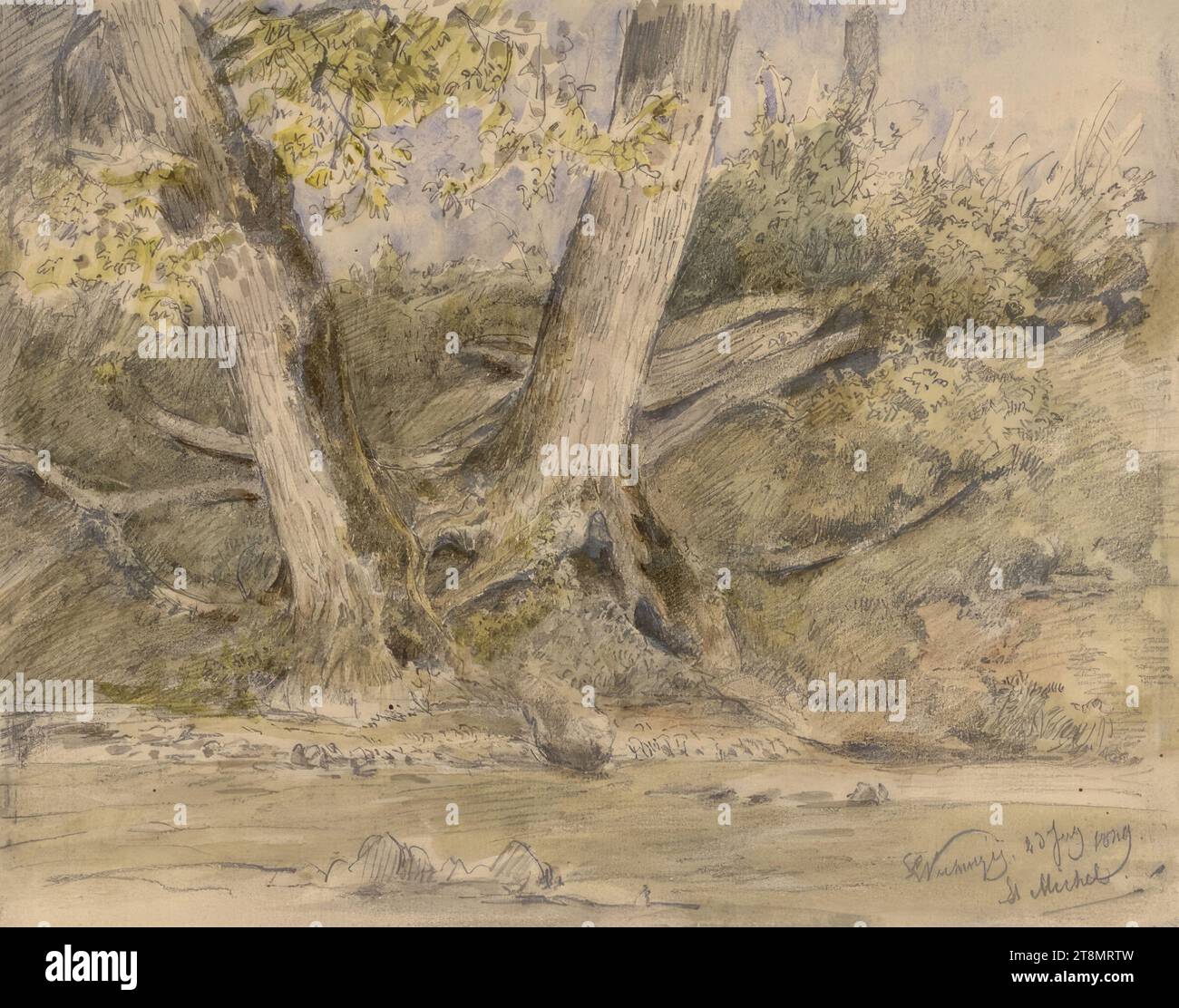 Trees by the water near St. Michael, Ludwig Neelmeyer (Osnabrück 1814 ...