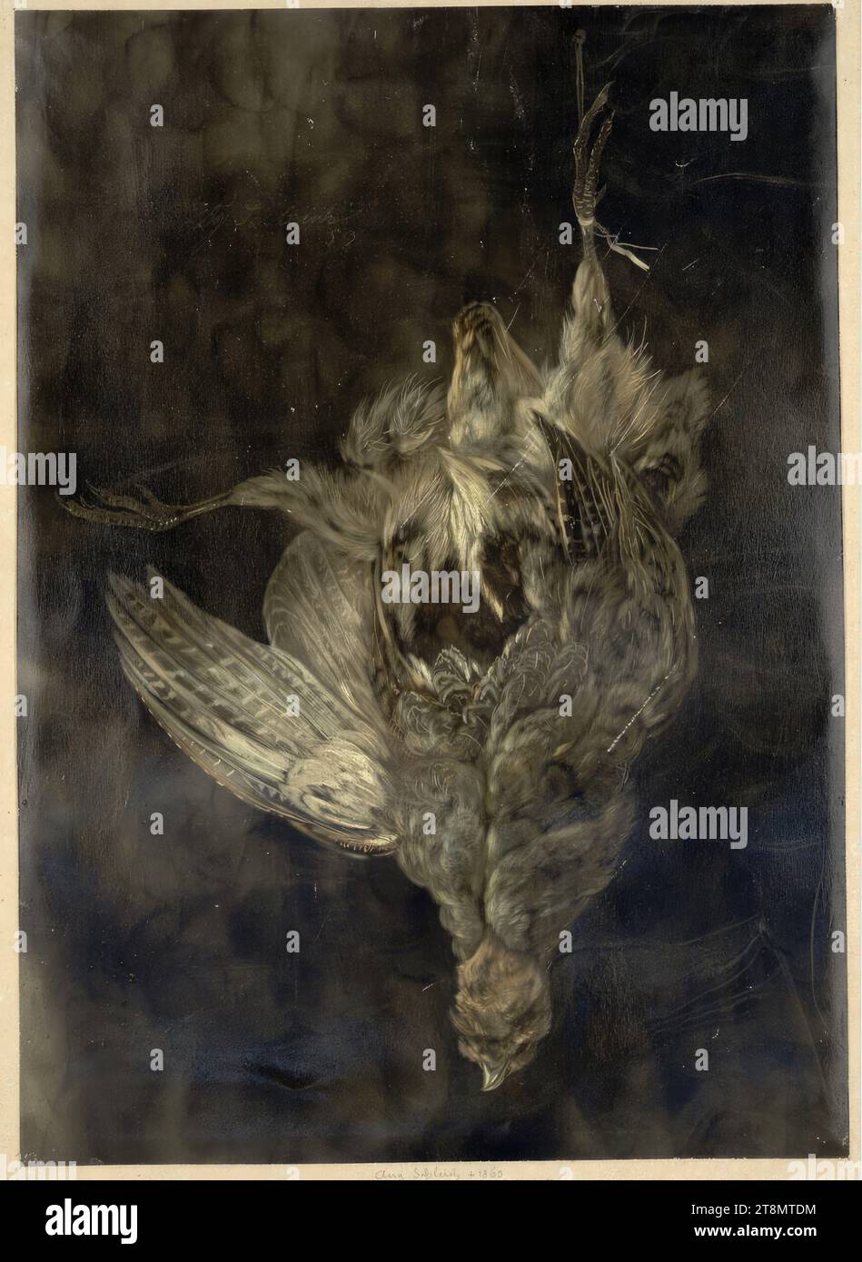 Schleich hi-res stock photography and images - Alamy