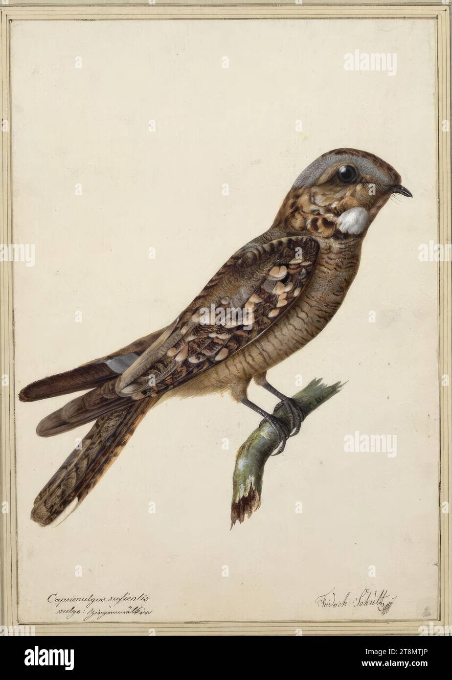 Friedrich schultz hi-res stock photography and images - Alamy