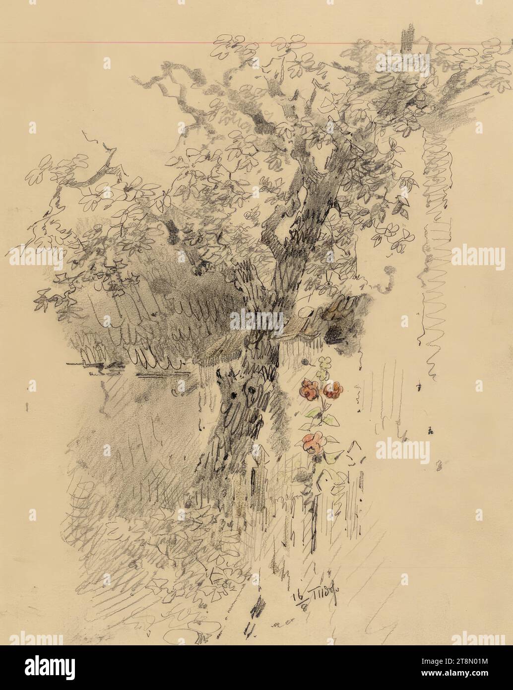 Tttdf stands hi-res stock photography and images - Alamy